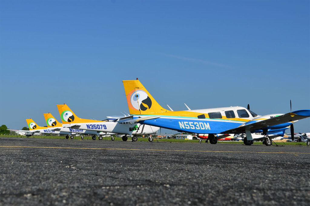 Pro-Pilot Image Gallery - 2Fly Pro-Pilot Airline Programme